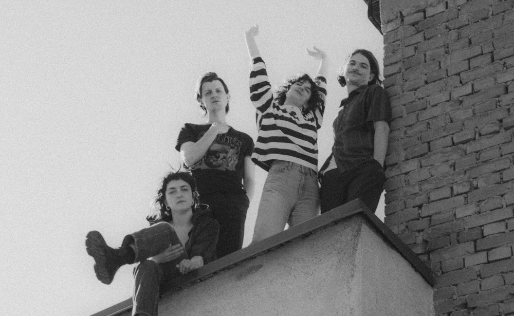 ENDLESS WELLNESS: INDIE, FUZZ-FOLK // AUS WIEN - Treibhaus.at